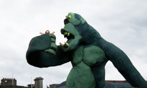 - Screen Directors Guild of Ireland